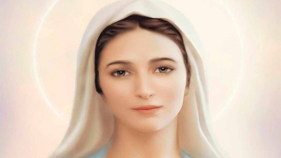 Cenáculo - Apptv 1311